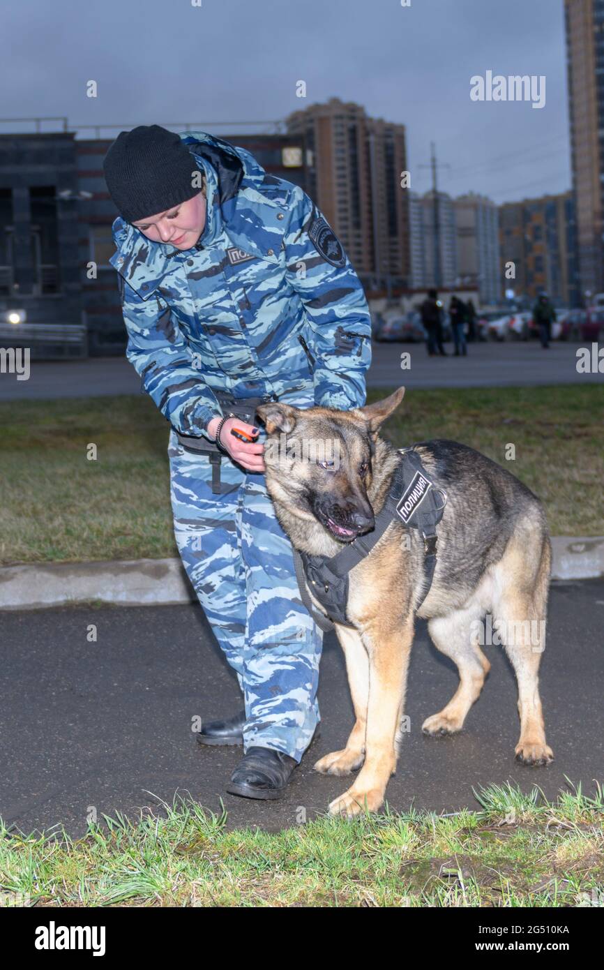Female police officers with a trained dog. German shepherd police dog ...