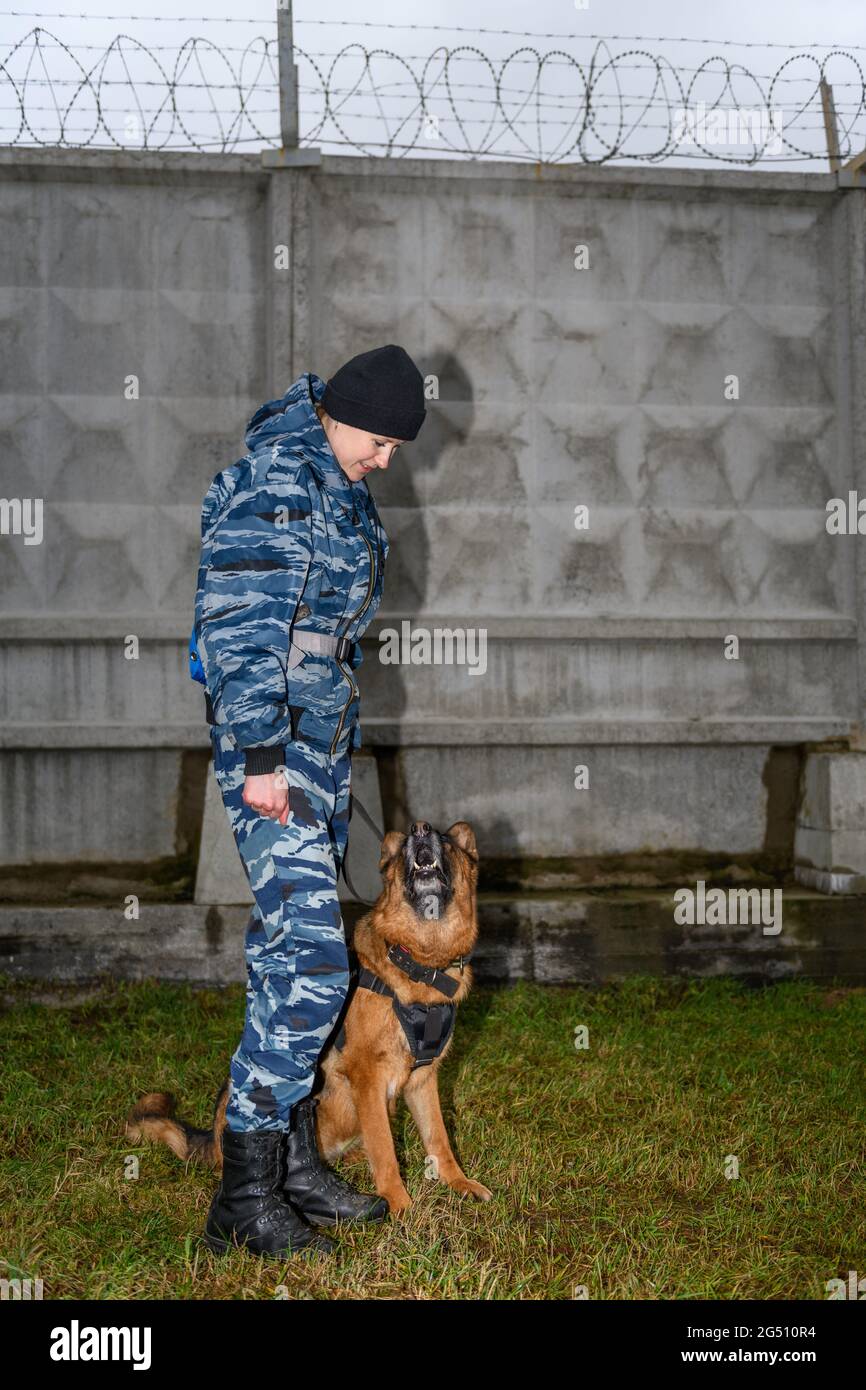 Female police officers with a trained dog. German shepherd police dog ...