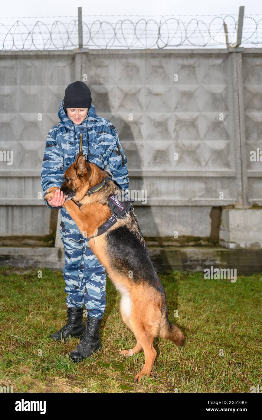 Female police officers with a trained dog. German shepherd police dog Stock Photo - Alamy