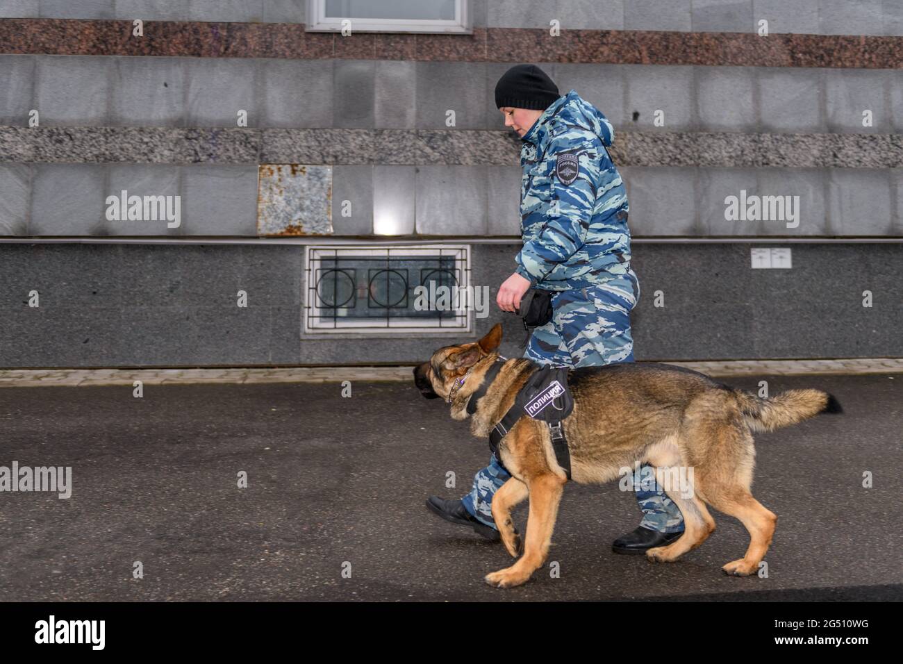 Female police officers with a trained dog. German shepherd police dog ...