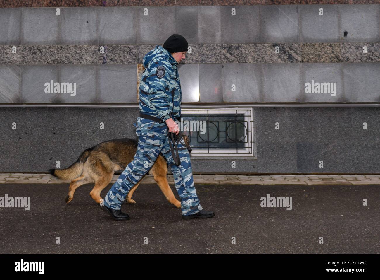 Female police officers with a trained dog. German shepherd police dog Stock Photo - Alamy