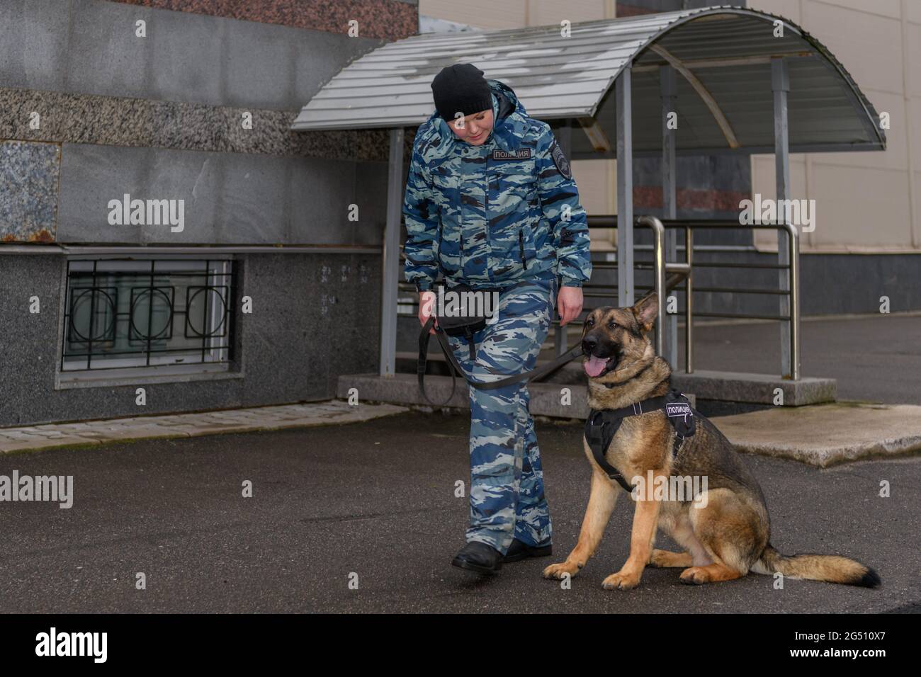 Female police officers with a trained dog. German shepherd police dog Stock Photo - Alamy