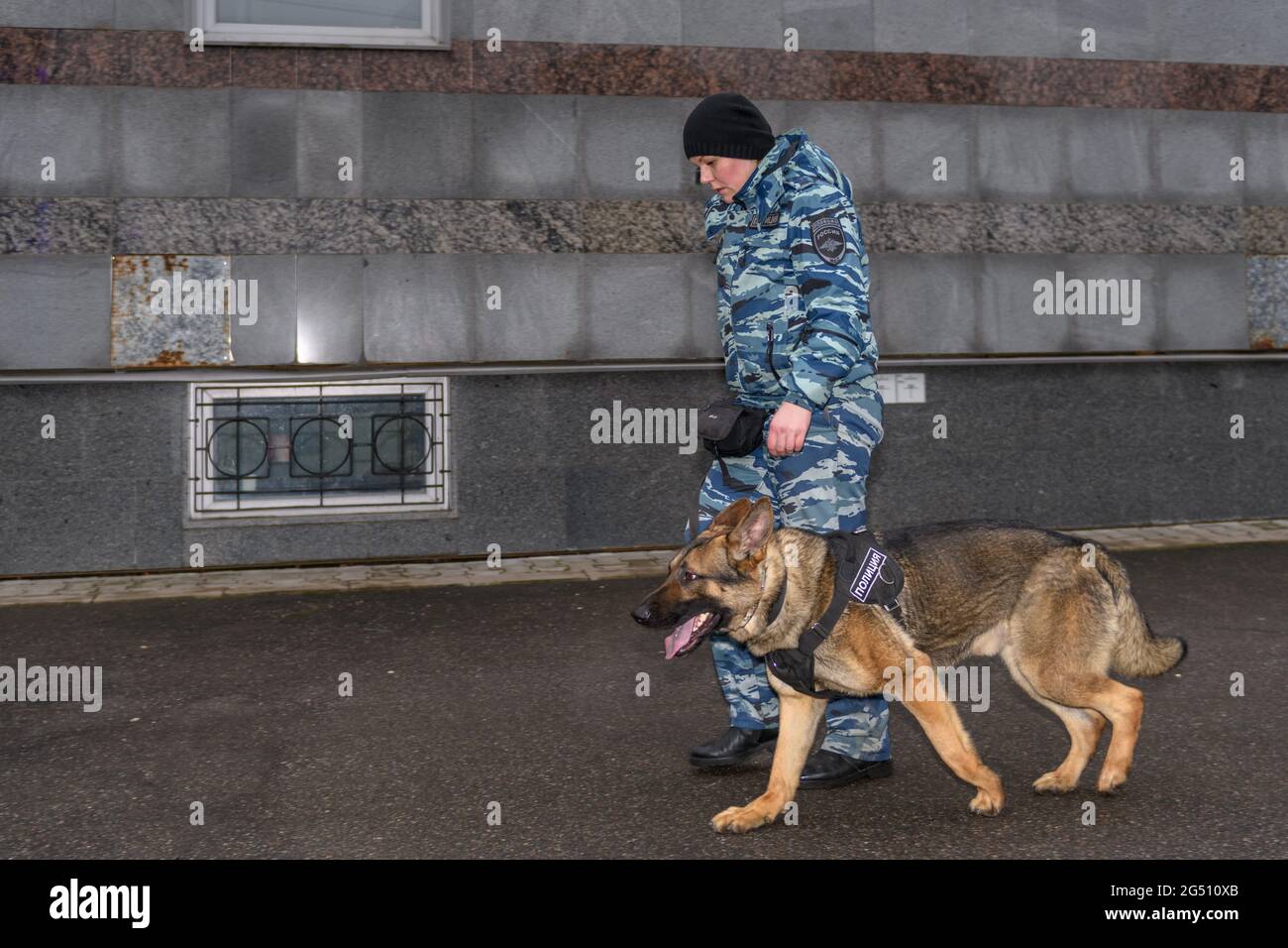 Female police officers with a trained dog. German shepherd police dog Stock Photo - Alamy