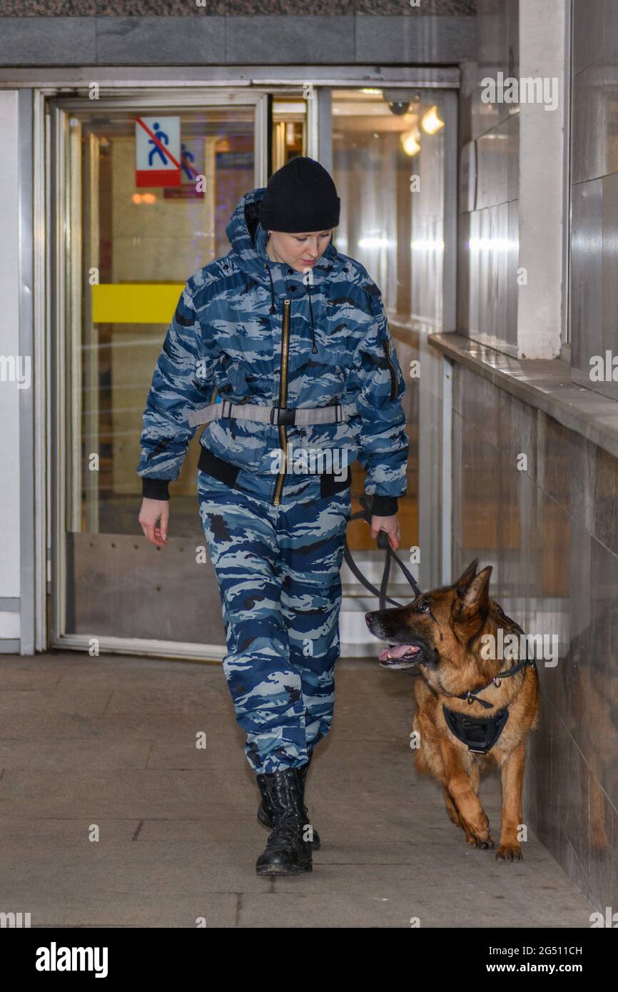 Female police officer with a trained dog sniffs out drugs or bomb in luggage. German shepherd ...