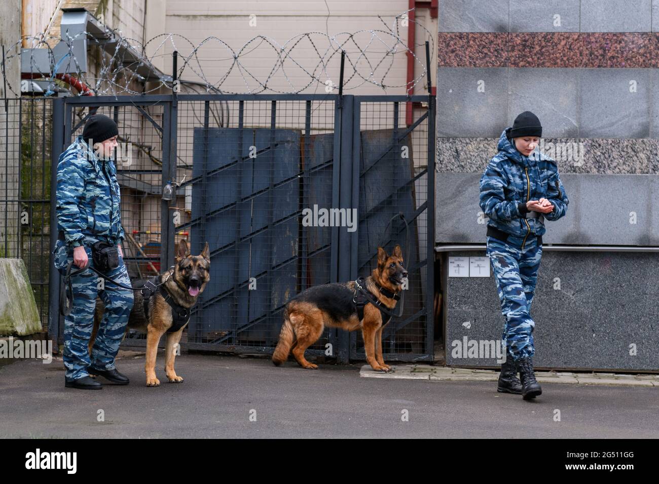Female police officers with a trained dog patrolling in city Stock ...