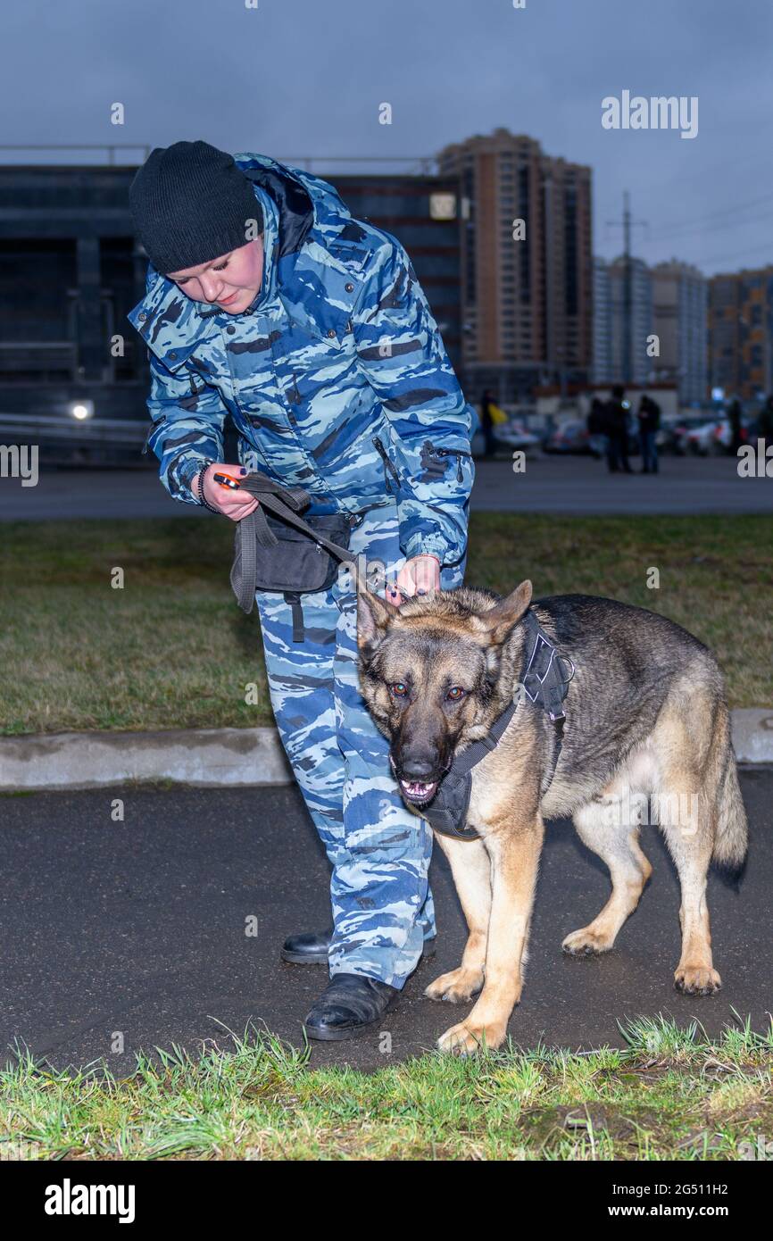 Female police officers with a trained dog. German shepherd police dog Stock Photo - Alamy