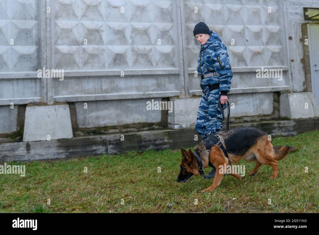 Female police officers with a trained dog. German shepherd police dog ...