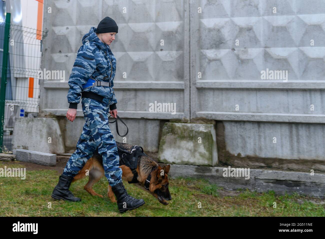 Female police officers with a trained dog. German shepherd police dog Stock Photo - Alamy