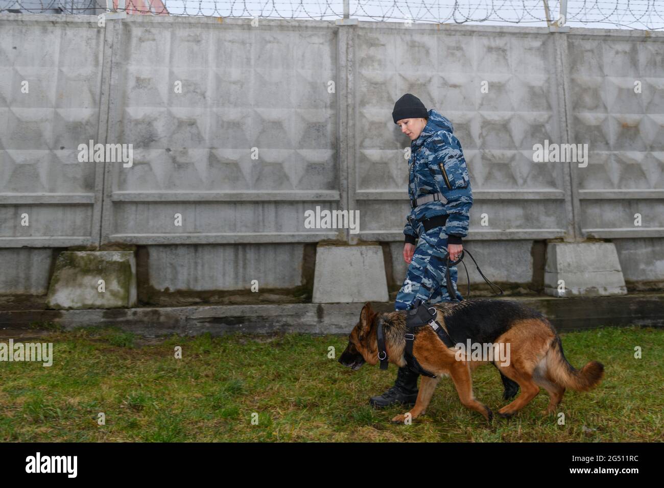 Female police officers with a trained dog. German shepherd police dog Stock Photo - Alamy