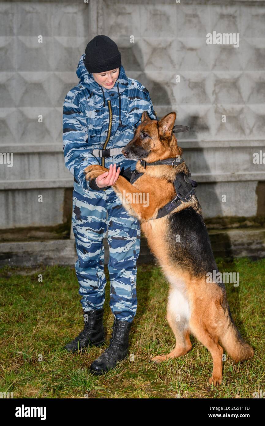 Female police officers with a trained dog. German shepherd police dog ...