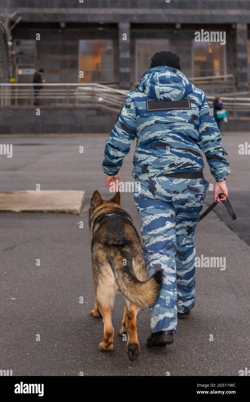 Female police officers with a trained dog. German shepherd police dog Stock Photo - Alamy