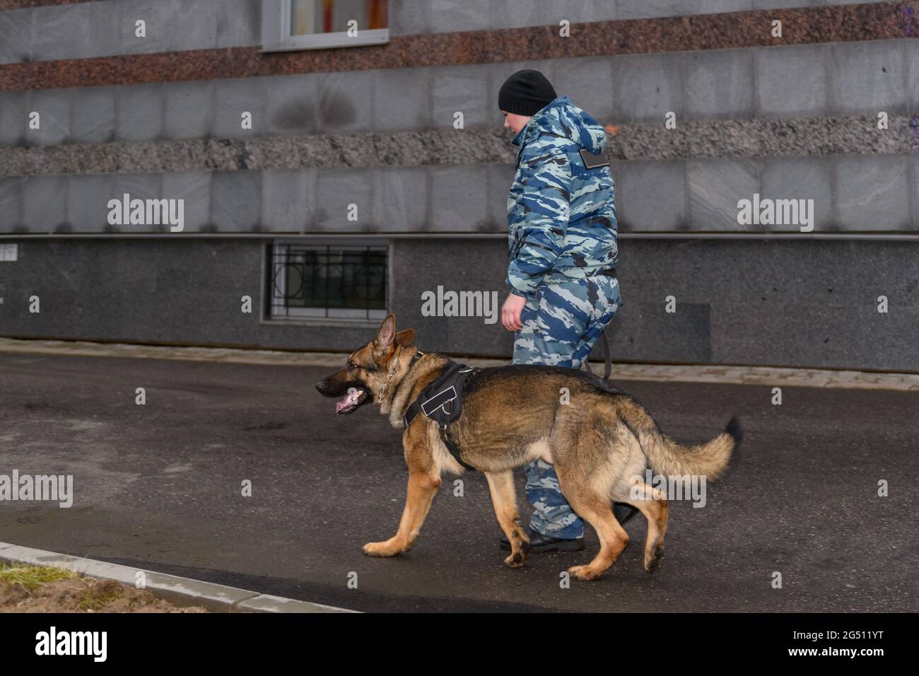 Female police officers with a trained dog. German shepherd police dog ...