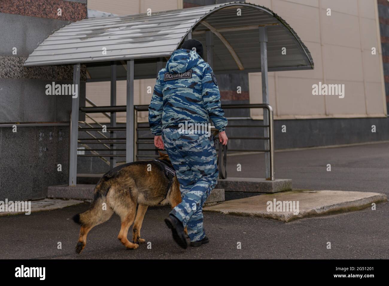 Female police officers with a trained dog. German shepherd police dog. Russian Police. Sign ...
