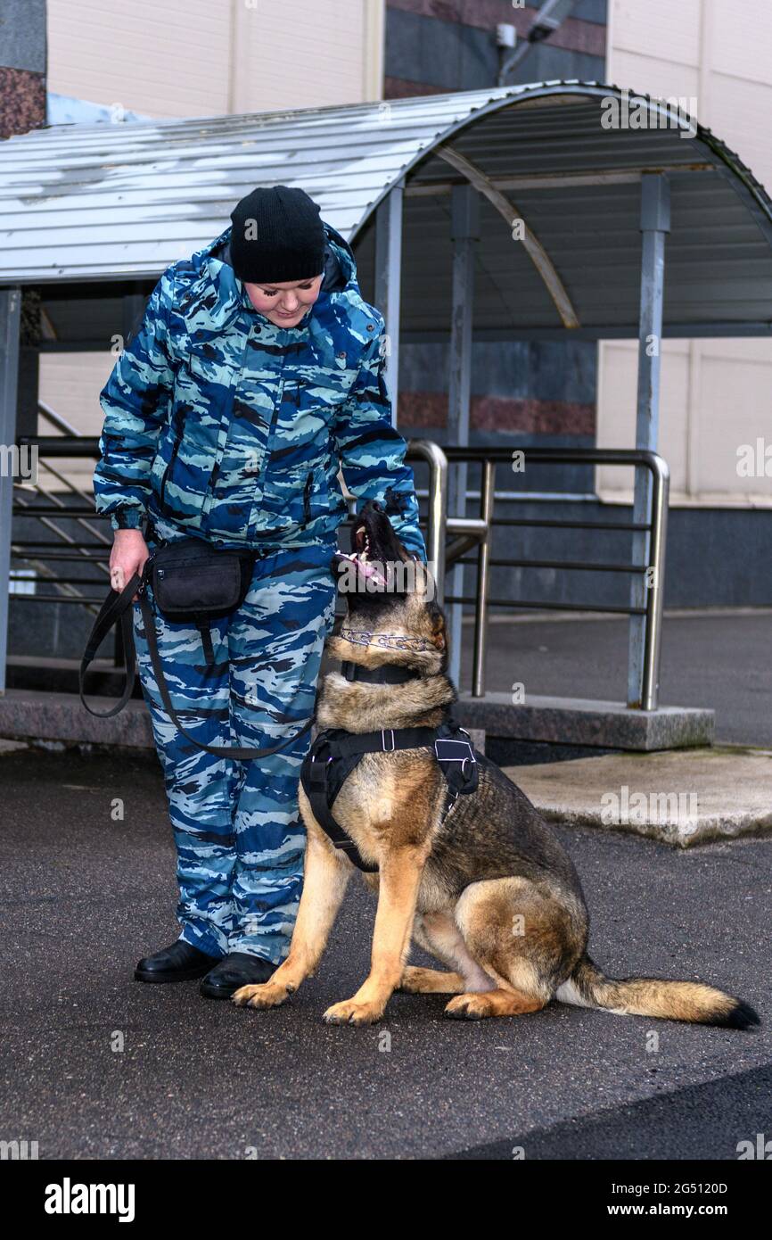 Female police officers with a trained dog. German shepherd police dog Stock Photo - Alamy
