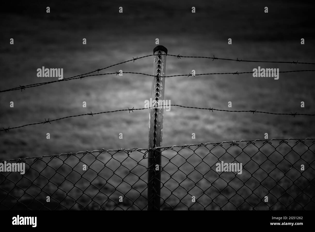 Security detail hi-res stock photography and images - Alamy