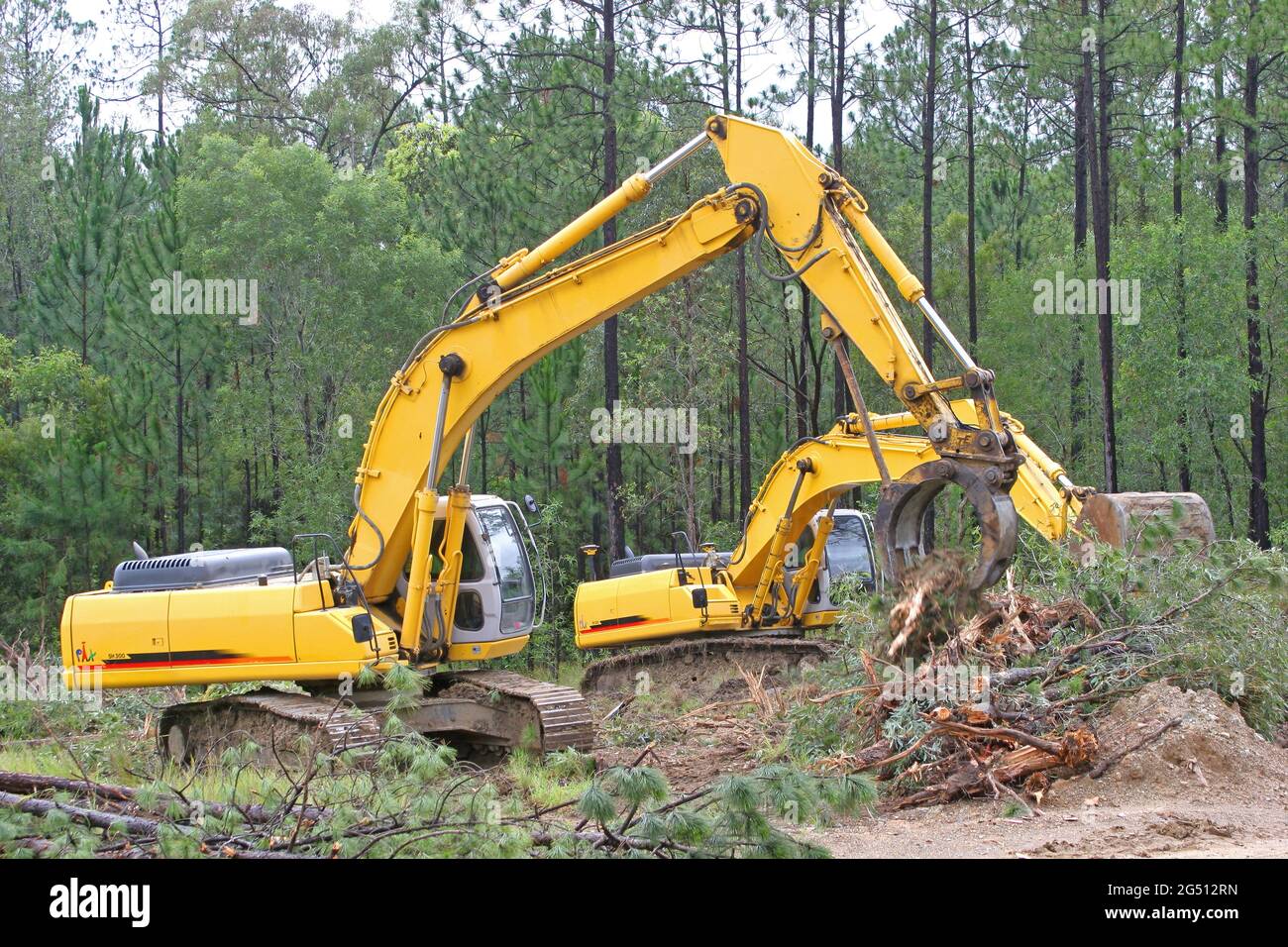 heavy machinery clearing mixed conifer and native bushland Gold Coast ...