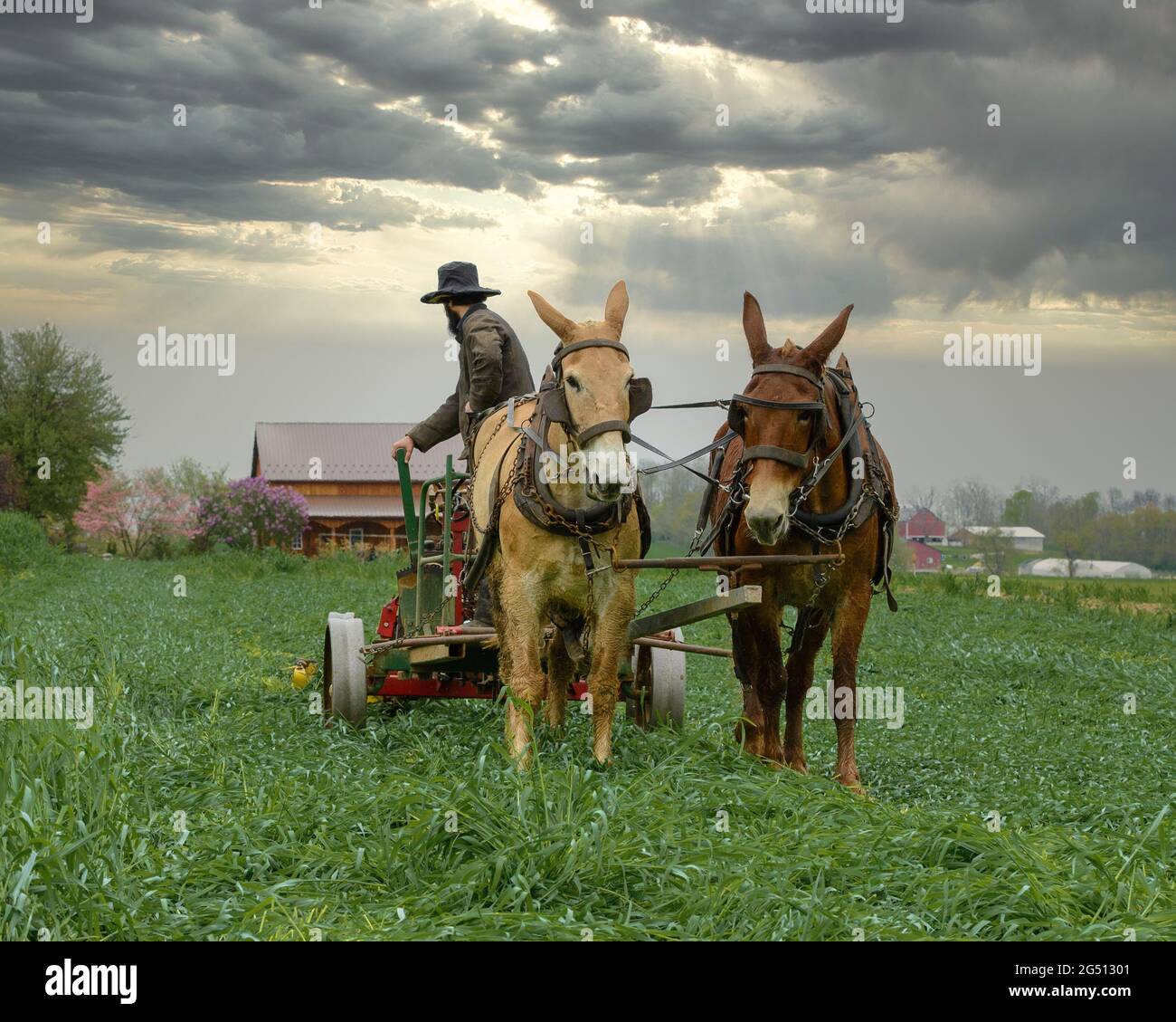 Amish hi-res stock photography and images - Alamy