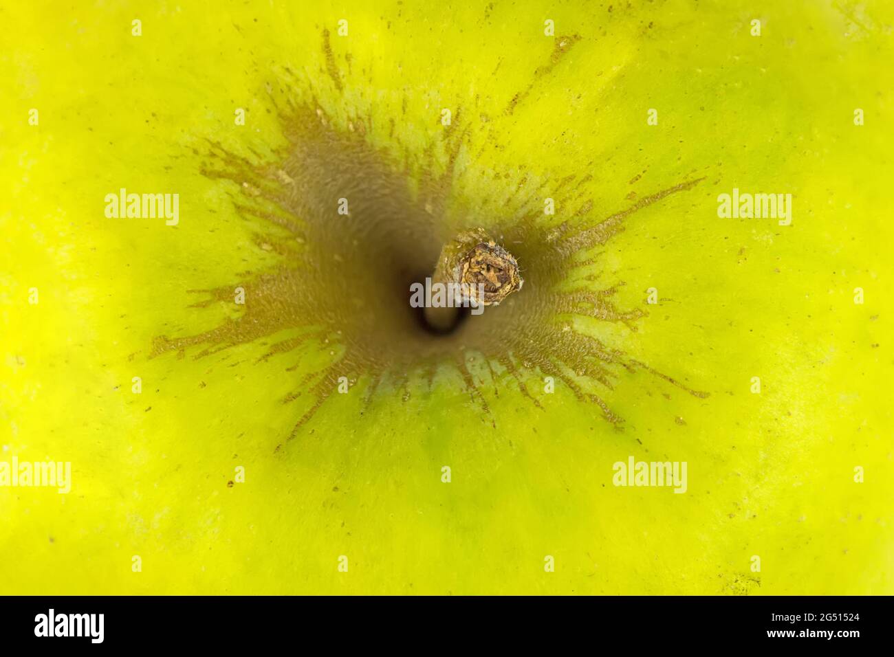 Green nature close up hi-res stock photography and images - Alamy