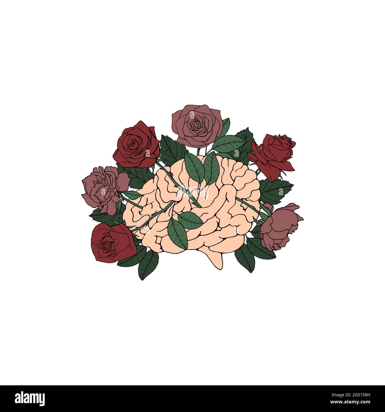 Line art illustration of hand drawn brain with floral decoration ...