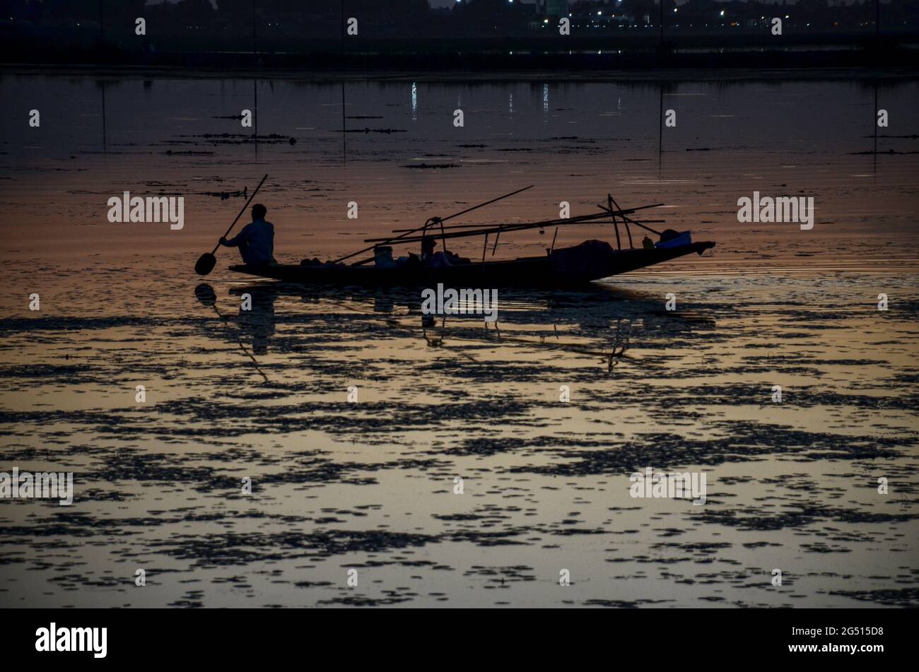 Srinagar, India. 24th June, 2021. A boatman rows his boat along Dal ...