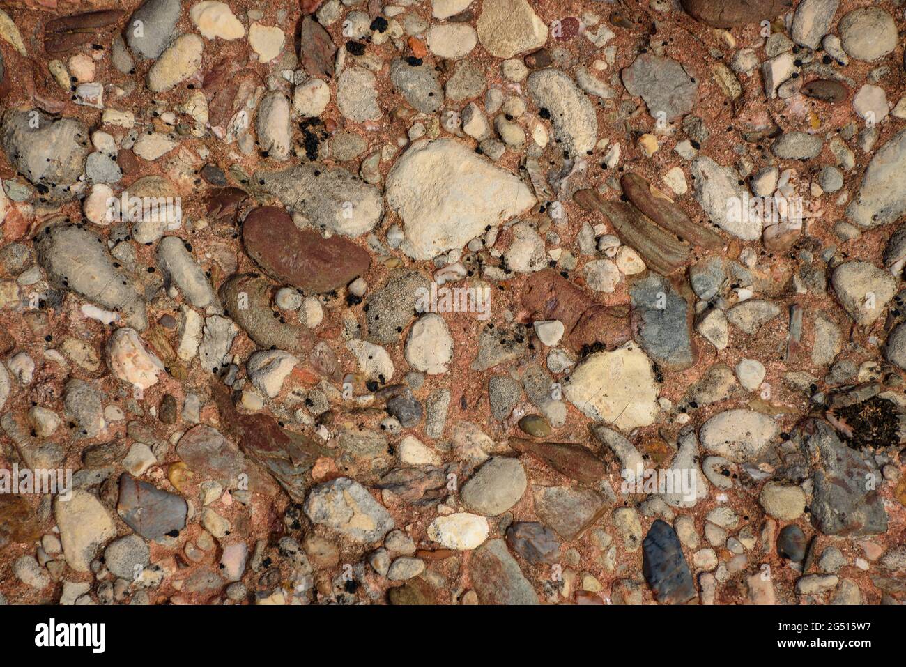 Set of stones stuck in a conglomerate sedimentary rock in Sant Llorenç ...