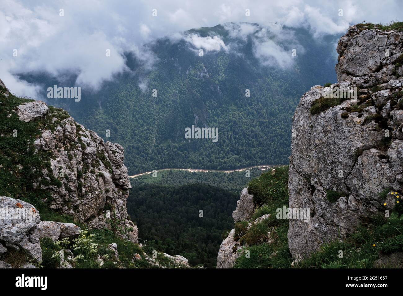 Dense green cliffs hi-res stock photography and images - Alamy