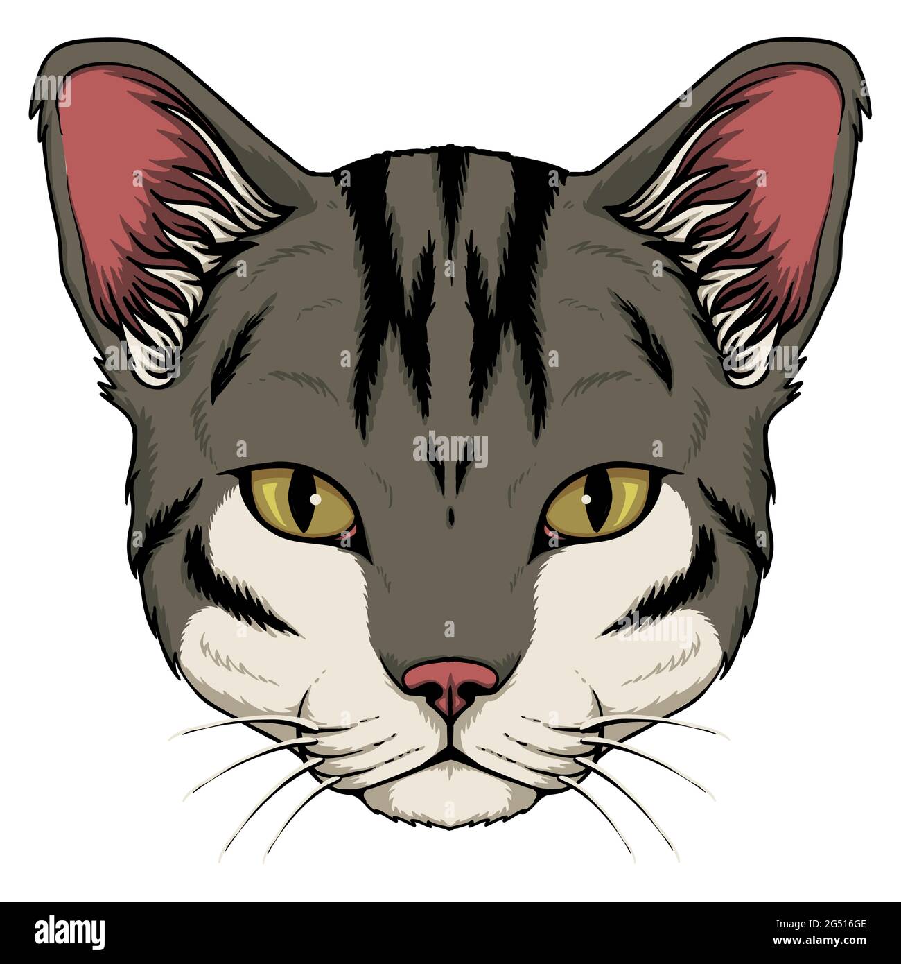 Cat head vector illustration Stock Vector Image & Art - Alamy