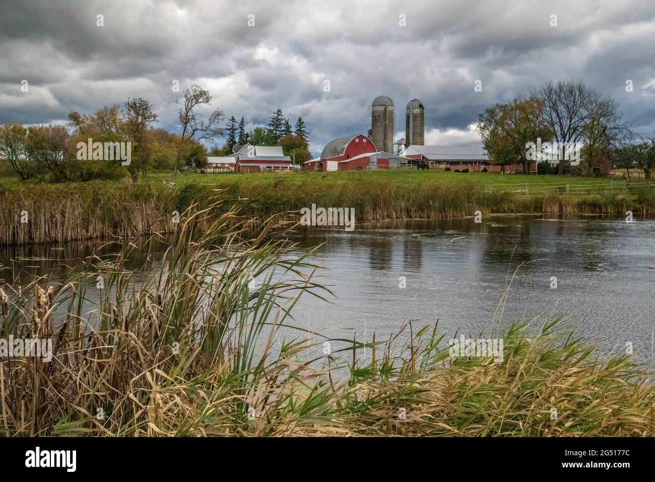 Beautiful Farm Scenery