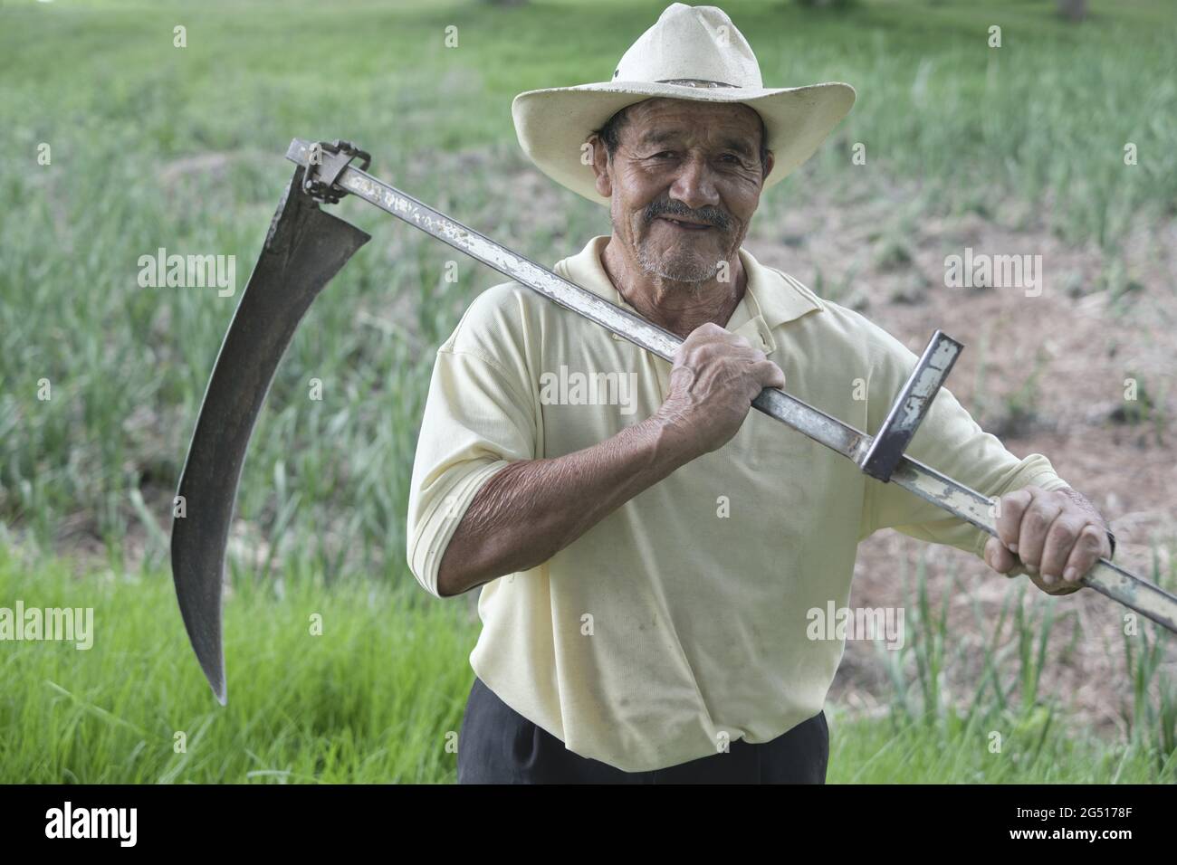 Farmer cutting grass with a scythe hi-res stock photography and images ...