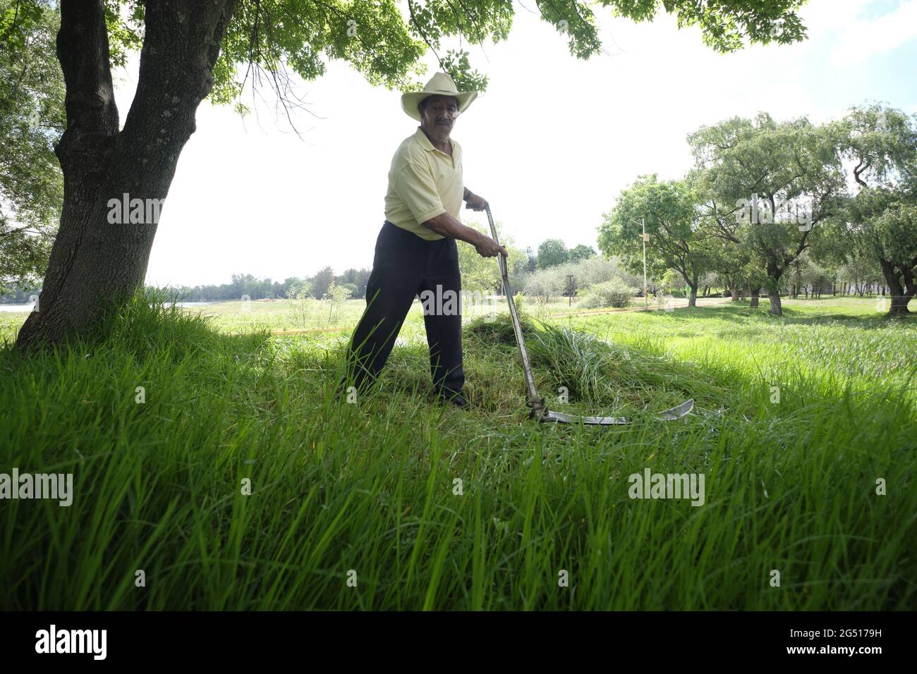 Farmer using scythe hi-res stock photography and images - Alamy