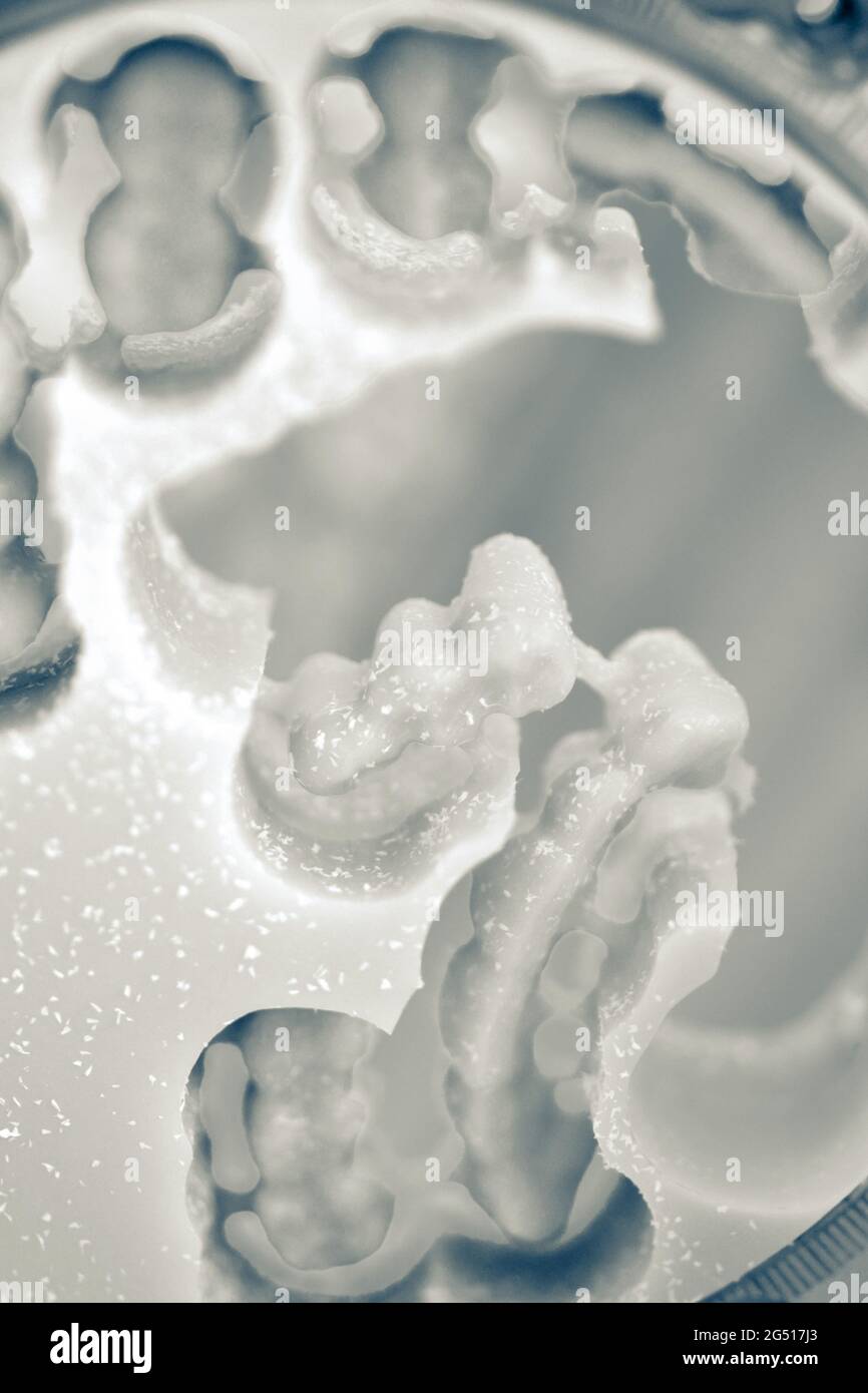 Dental milling machine carving out shape of human teeth Stock Photo - Alamy