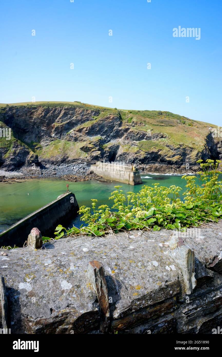 Port Isaac Harbour Walls in Cornwall Stock Photo - Alamy