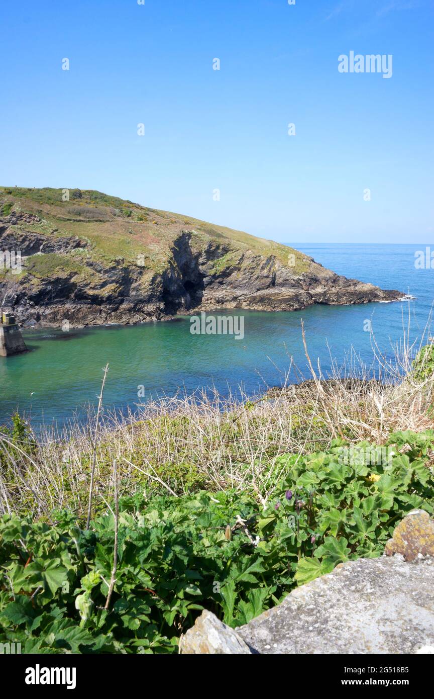 View from coast path at Port Isaac in Cornwall Stock Photo - Alamy