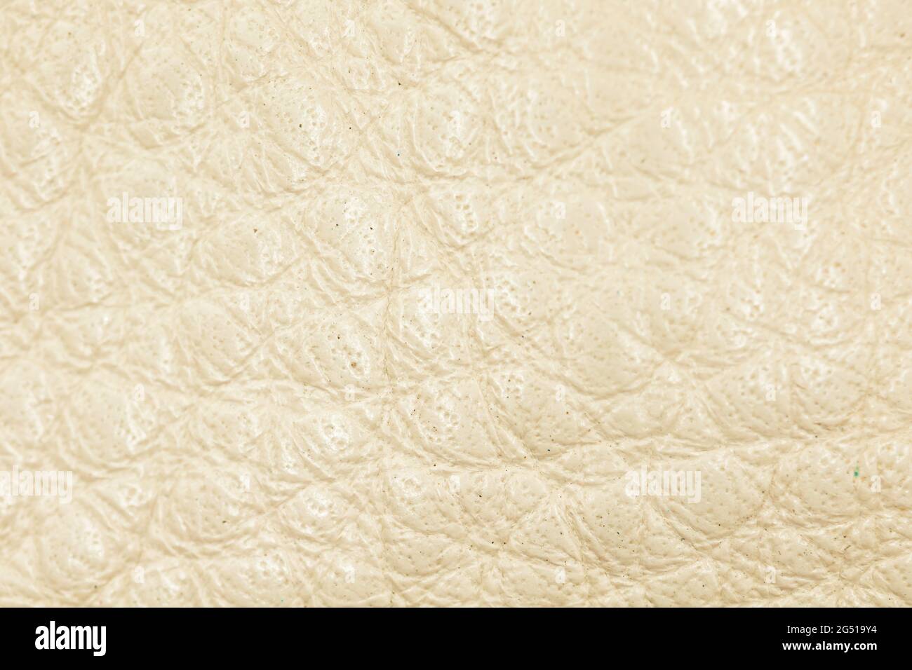 Beige leather texture and background close up photo, high detailed ...