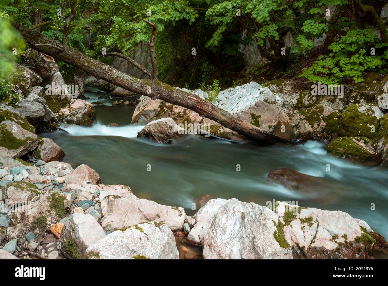 Beautiful water oasis with clean water streams and rocks hidden in the ...