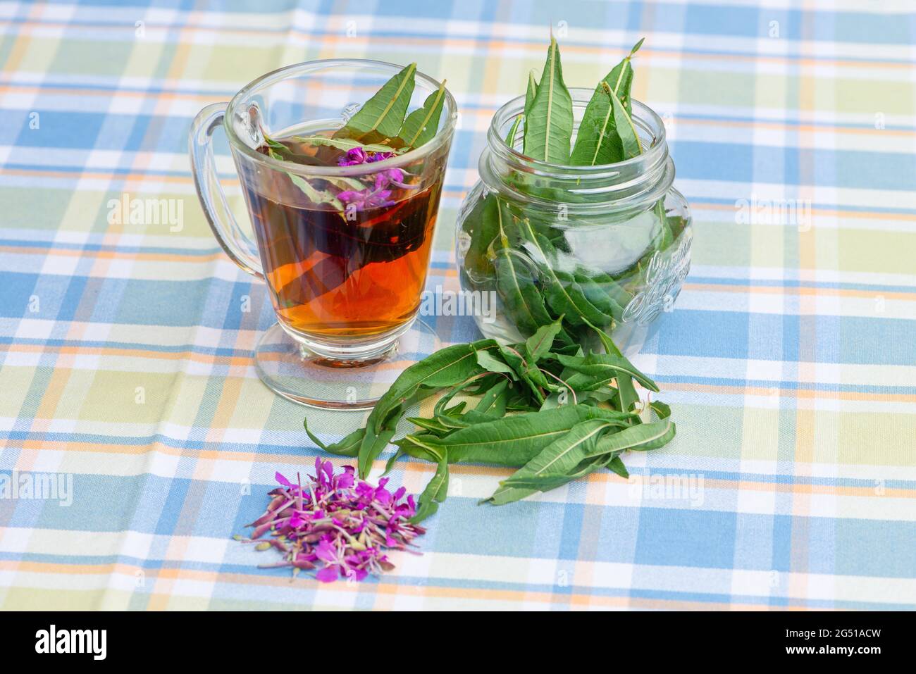 Cup of Fireweed herbal tea, fresh fireweed flowers and leaves ...