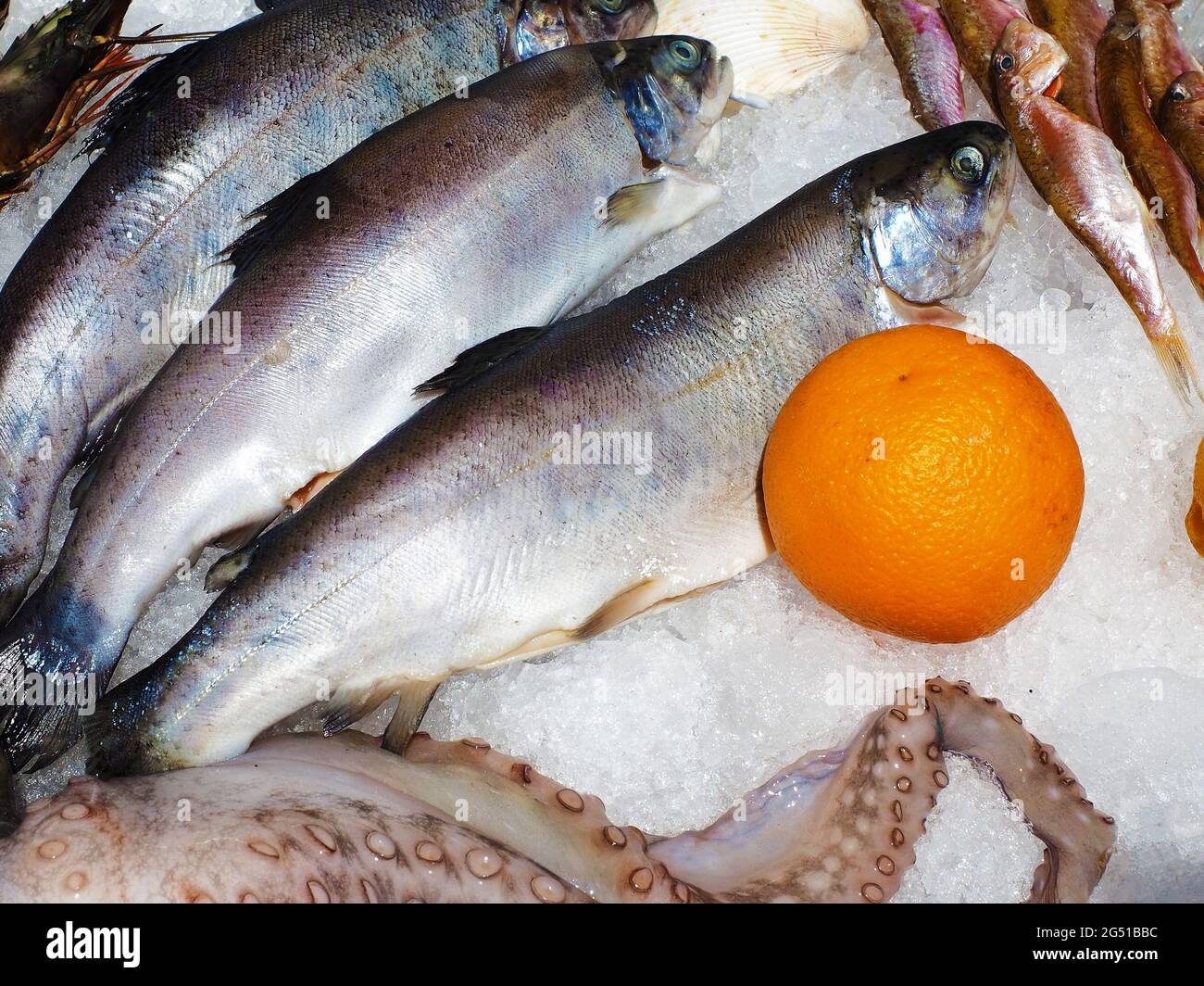 Chilled fish lies in ice with orange. Showcase in a fish restaurant ...