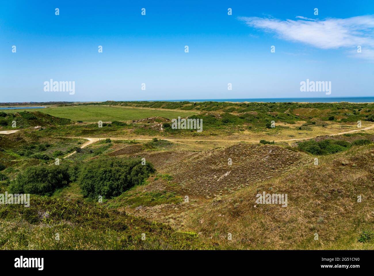 North Sea island Langeoog, early summer, dune landscape in the interior ...