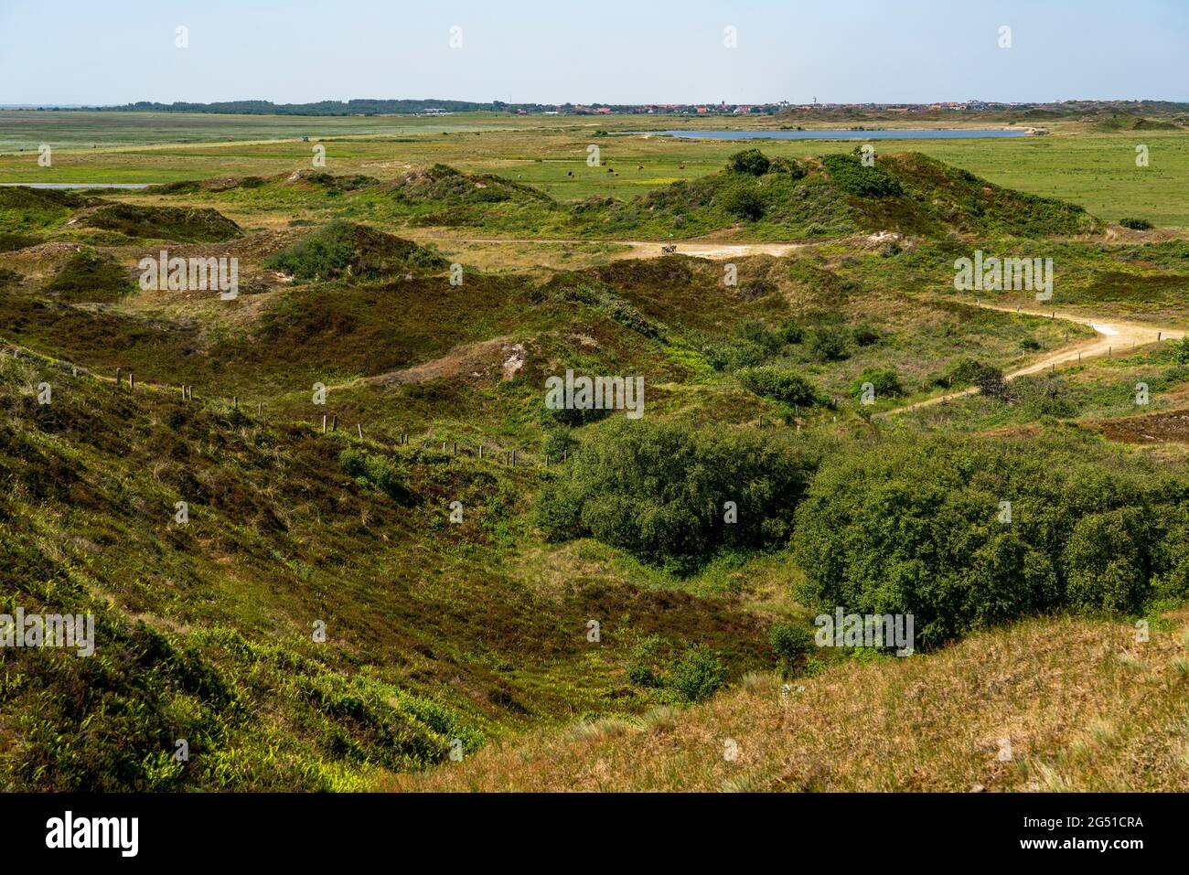 North Sea island Langeoog, early summer, dune landscape in the interior ...