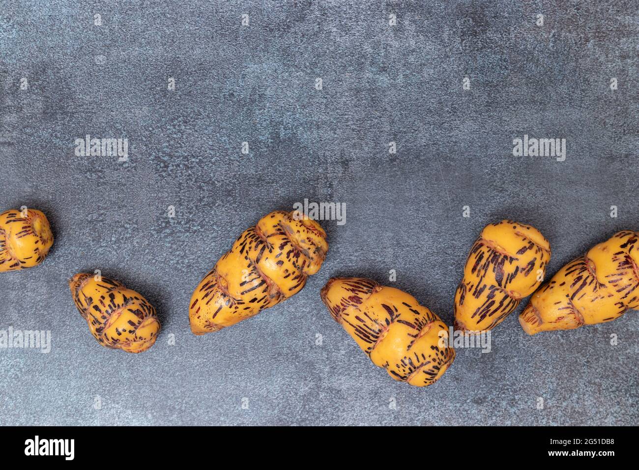 Oca, tuber used in Peruvian cuisine and the American Andes Stock Photo ...