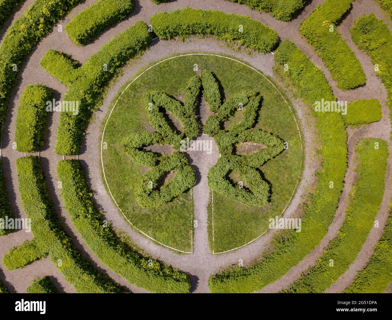 Top view of beautiful floral labyrinth at botanical garden Stock Photo ...