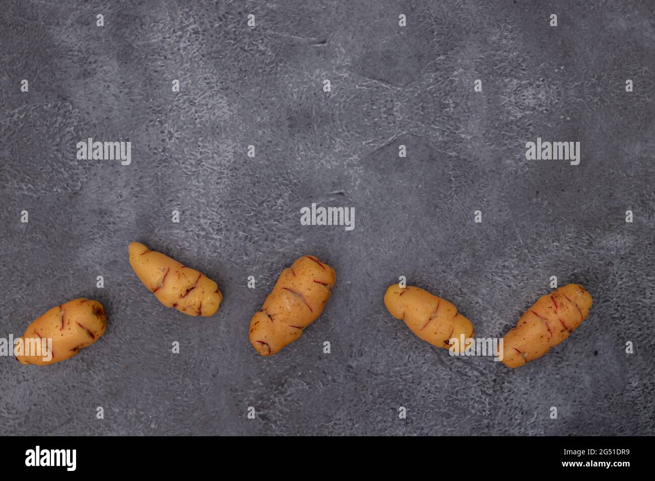Group of ollucos, tuber used in Peruvian cuisine and the American Andes ...