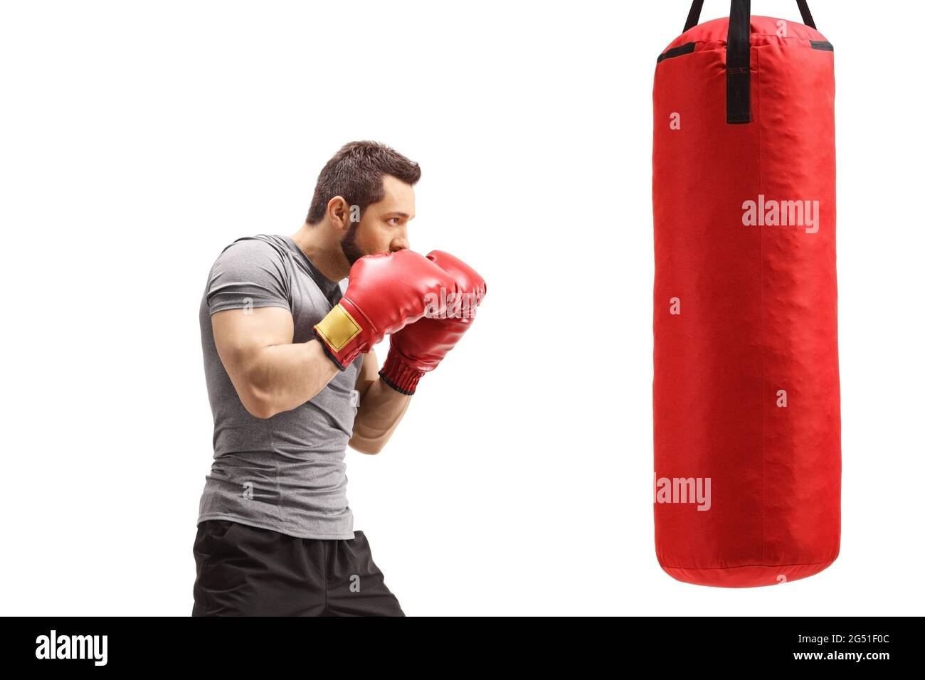 Boxer training box with a punching bag isolated on white background ...