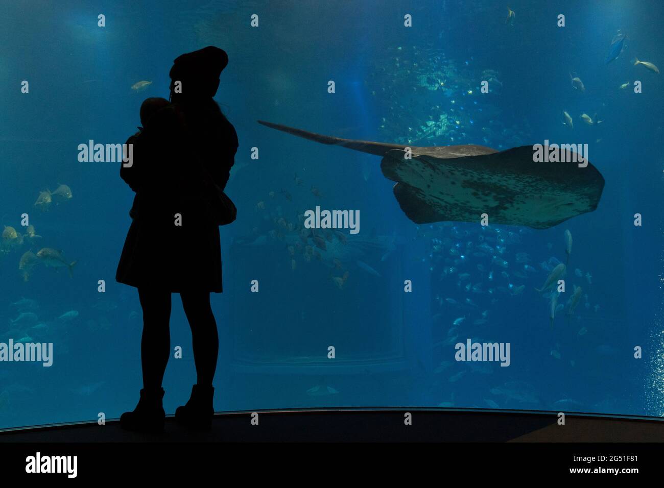 Things to do osaka hi-res stock photography and images - Alamy