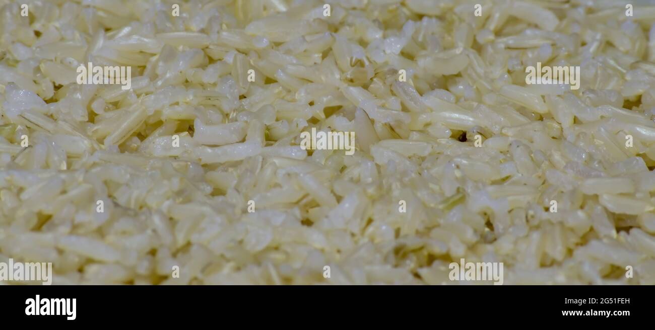 Closeup shot of cooked brown rice Stock Photo - Alamy