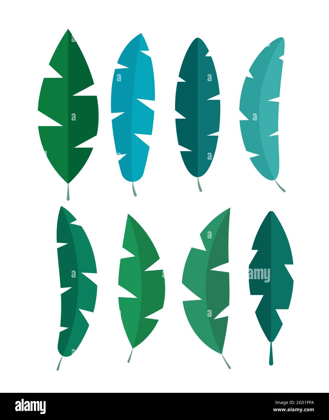 Tropical leaves simple collection set. Vector illustration EPS Stock ...