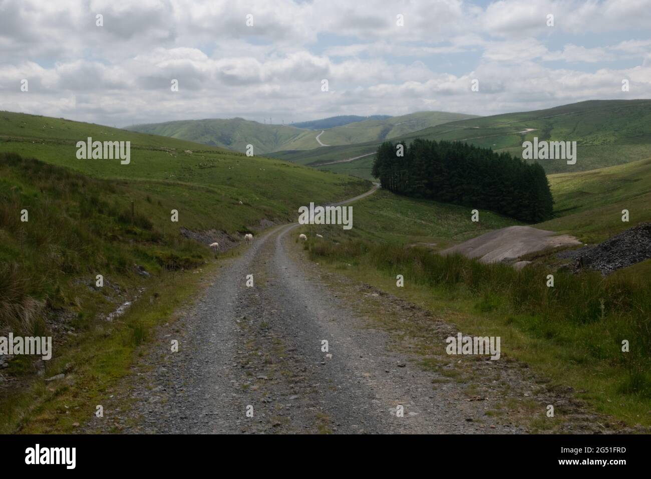 Plynlimon wales hi-res stock photography and images - Alamy