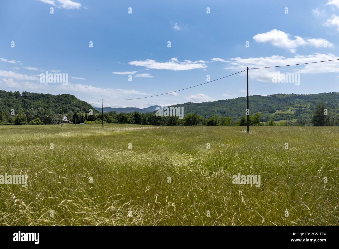 Green field with utility poles and cables Stock Photo - Alamy