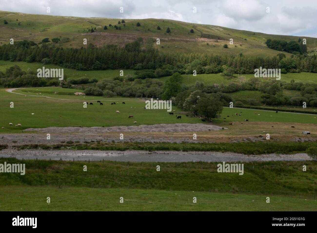 The River Wye near Llangurig, Powys, Wales, UK Stock Photo - Alamy