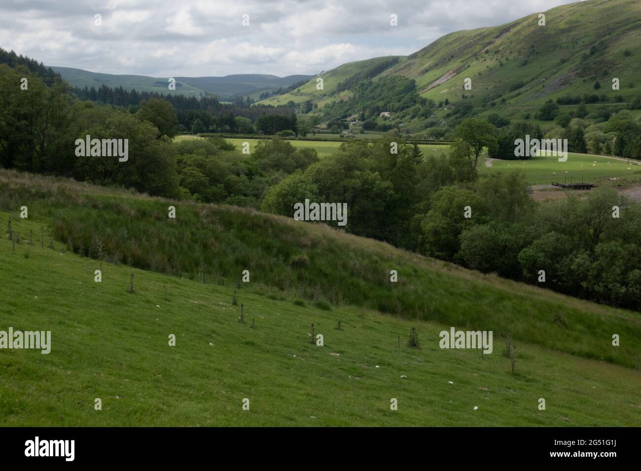 The Wye Valley near Llangurig, Wales, UK Stock Photo - Alamy